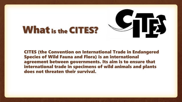 CITES | PPTX