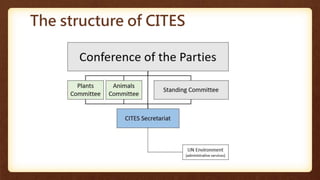 CITES | PPTX
