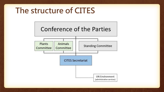 CITES | PPTX