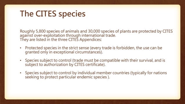 CITES | PPTX