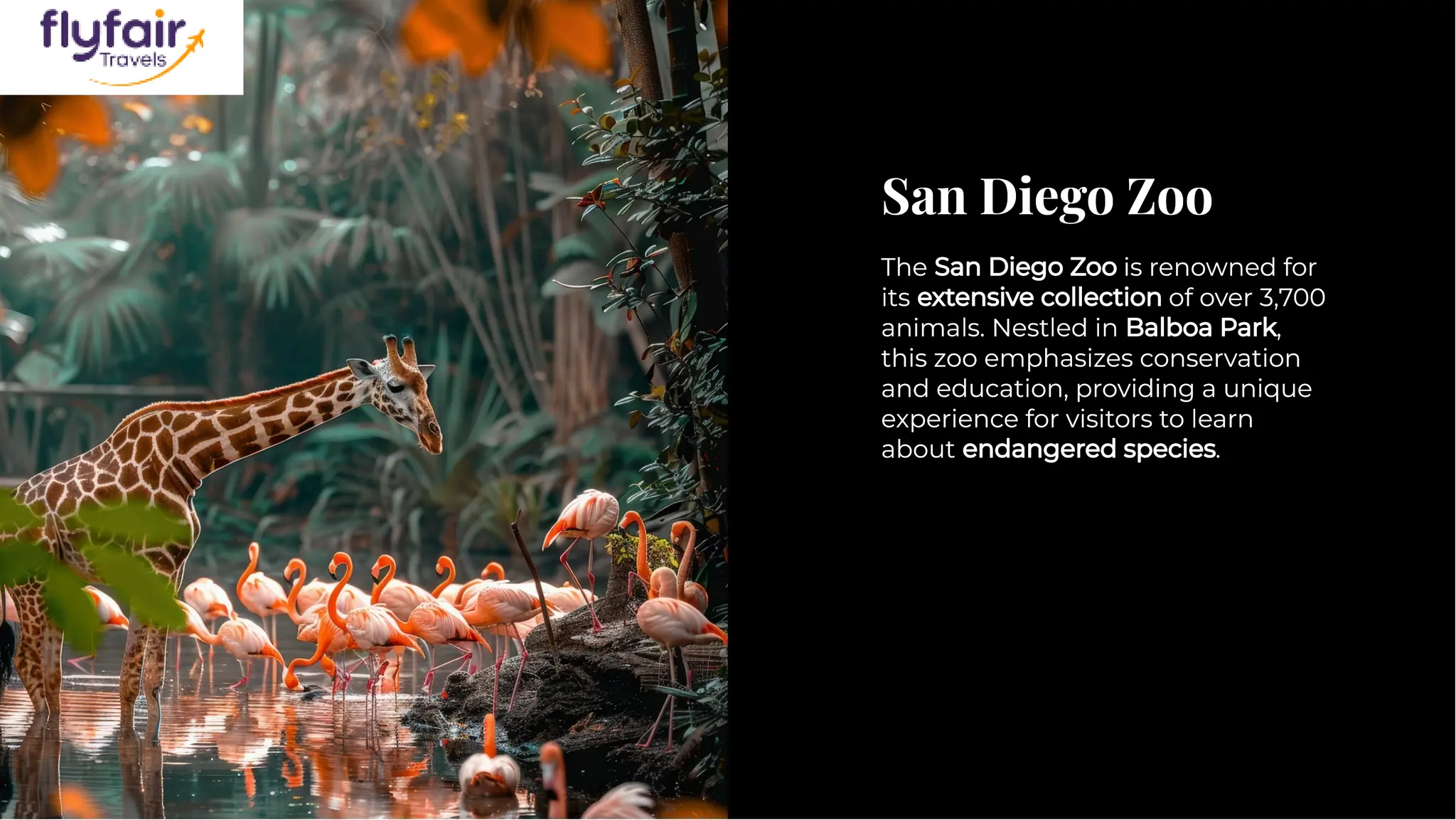 List of Top 10 Biggest Zoos in the USA.pdf