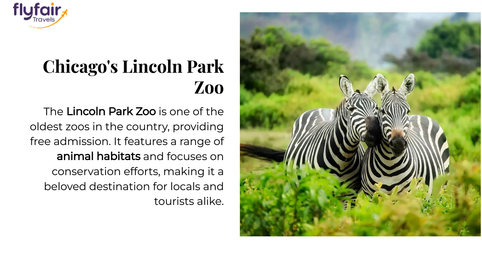 List of Top 10 Biggest Zoos in the USA.pdf