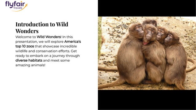 List of Top 10 Biggest Zoos in the USA.pdf