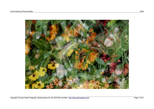 Artwork by Thomas Teske 2018 | PPT