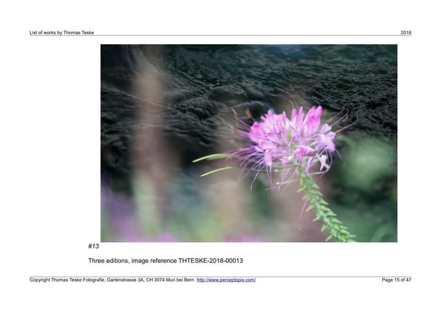 Artwork by Thomas Teske 2018