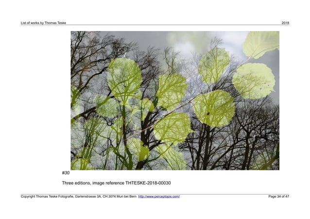 Artwork by Thomas Teske 2018