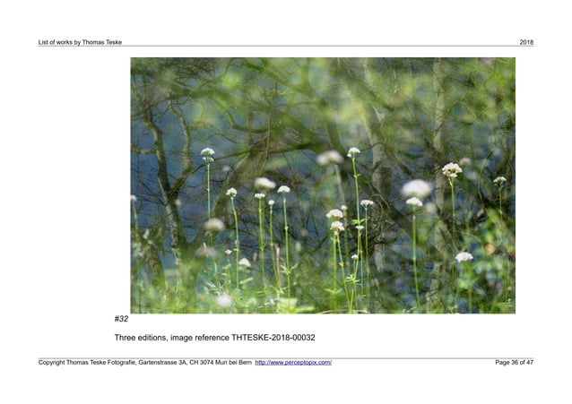 Artwork by Thomas Teske 2018