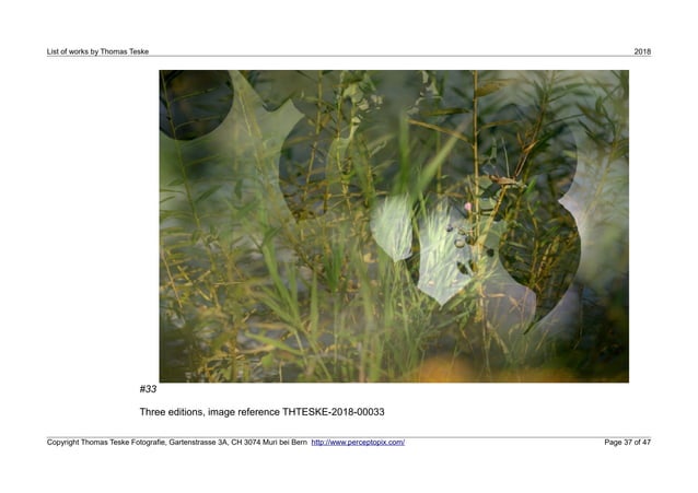 Artwork by Thomas Teske 2018