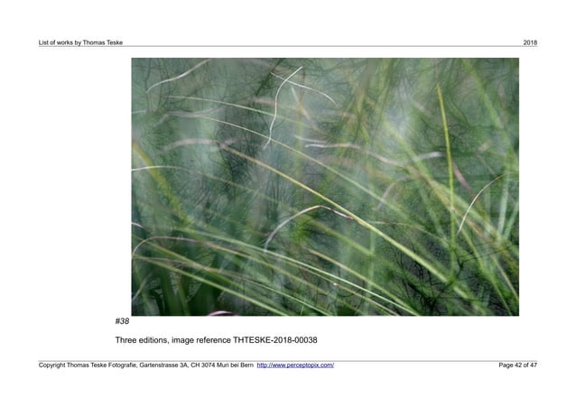 Artwork by Thomas Teske 2018