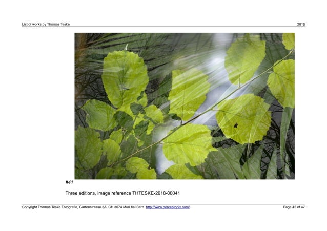 Artwork by Thomas Teske 2018