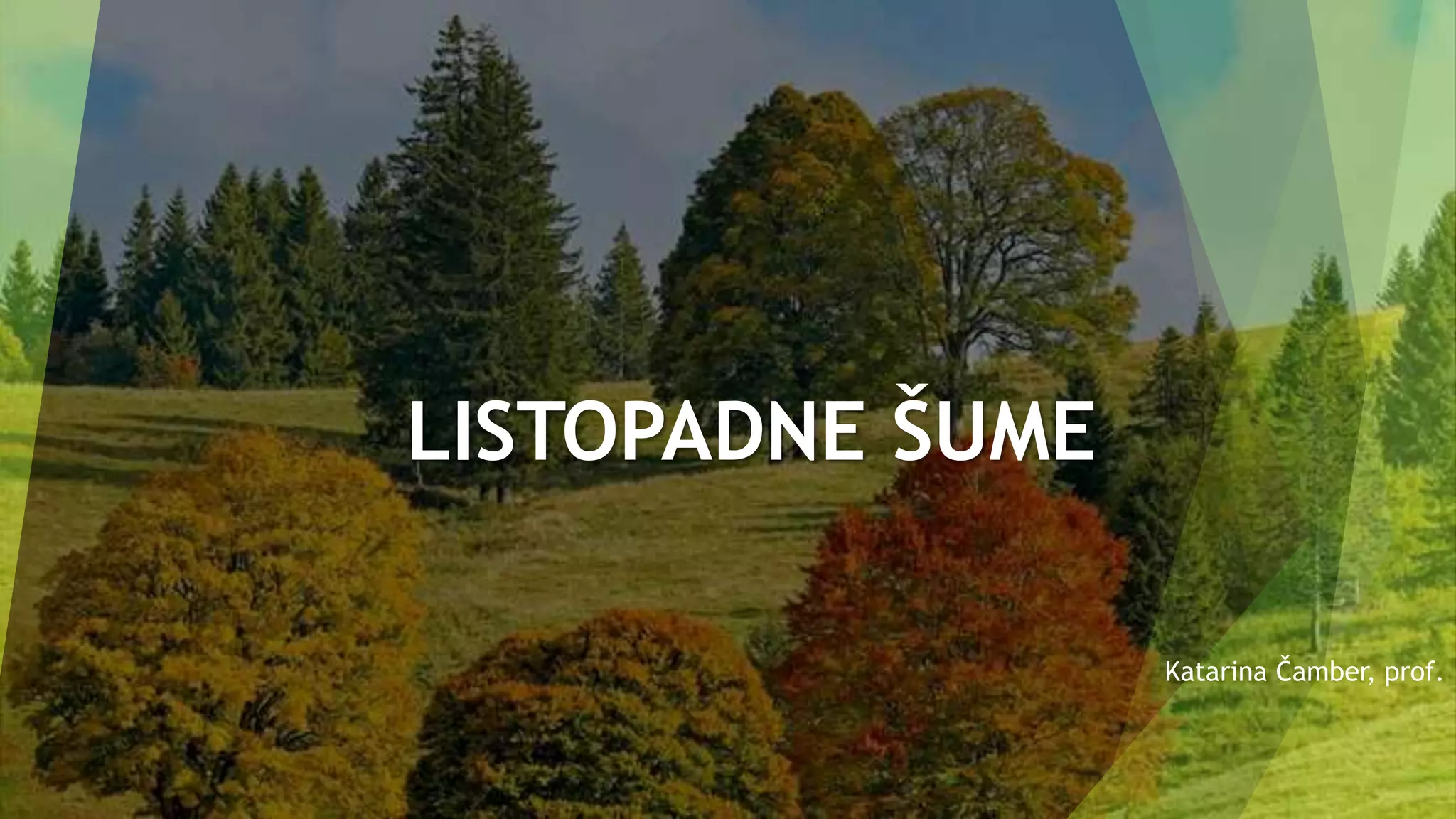 Listopadne šume | PPTX