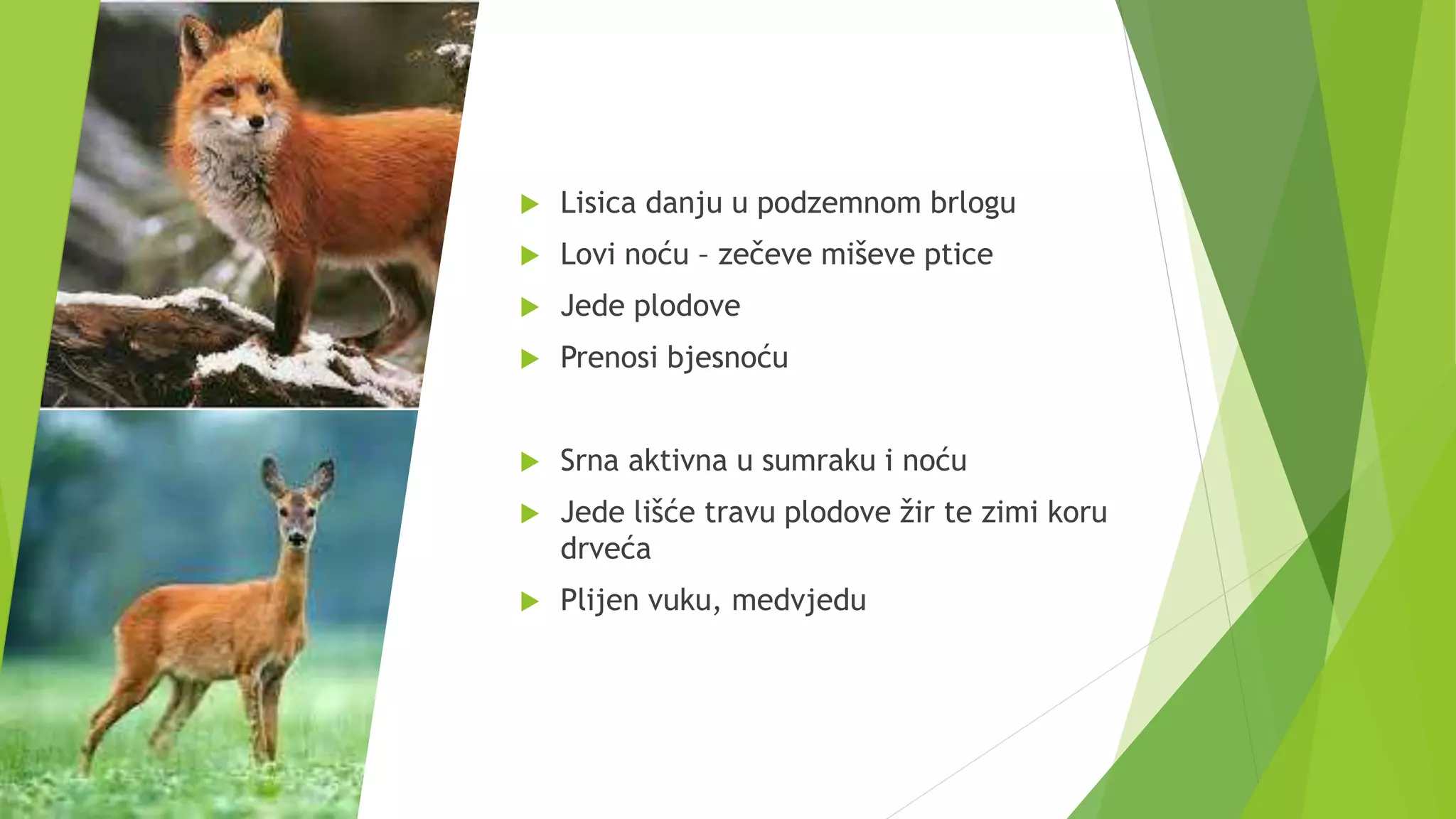 Listopadne šume | PPTX