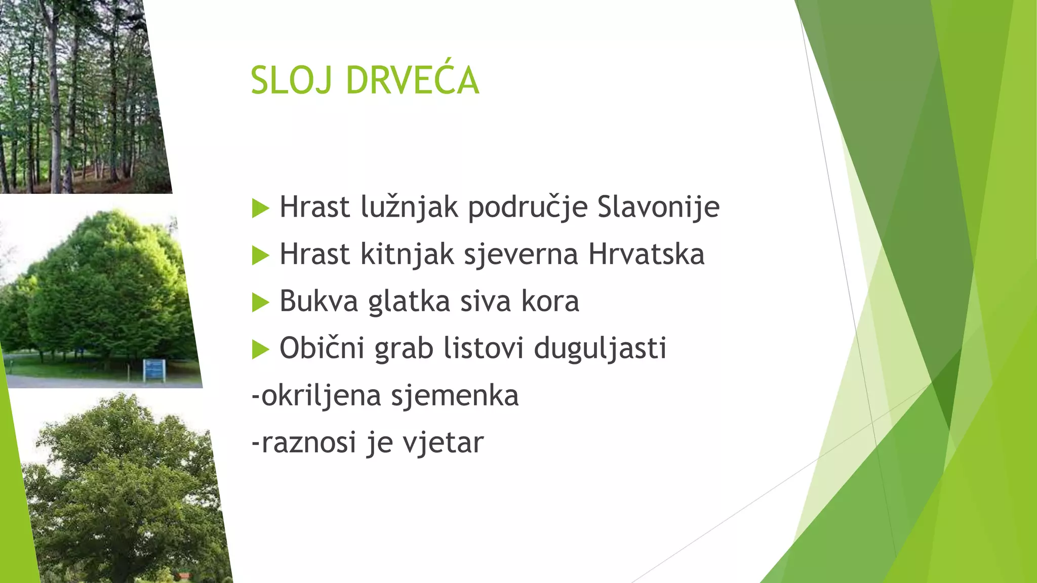 Listopadne šume | PPTX