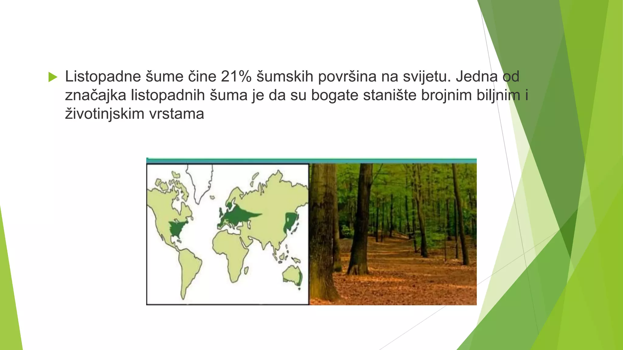Listopadne šume | PPTX