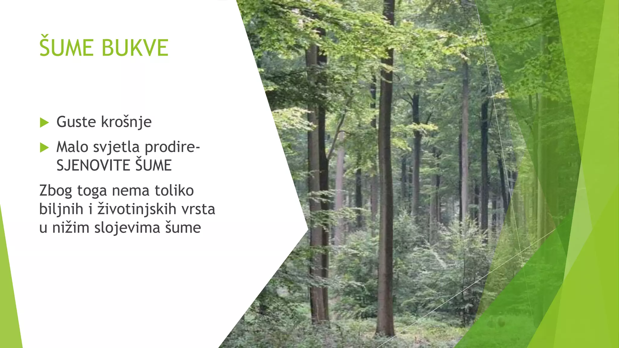 Listopadne šume | PPTX
