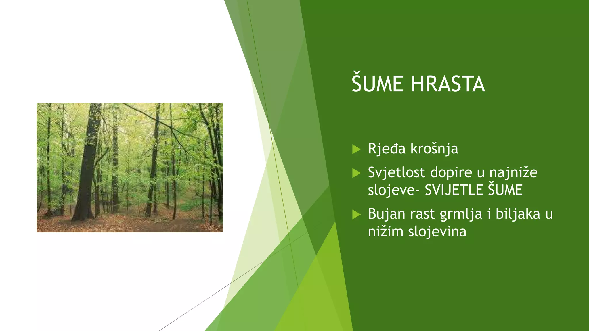 Listopadne šume | PPTX