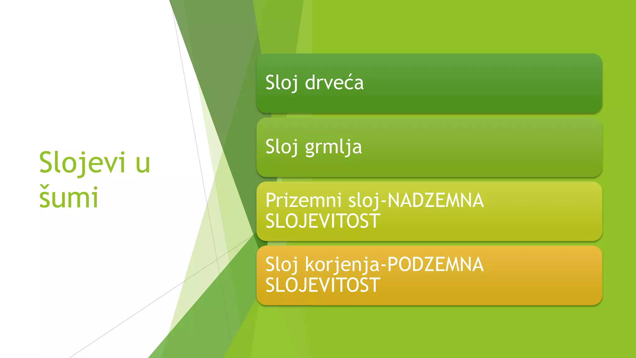 Listopadne šume | PPTX