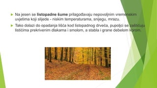 Listopadne šume | PPTX