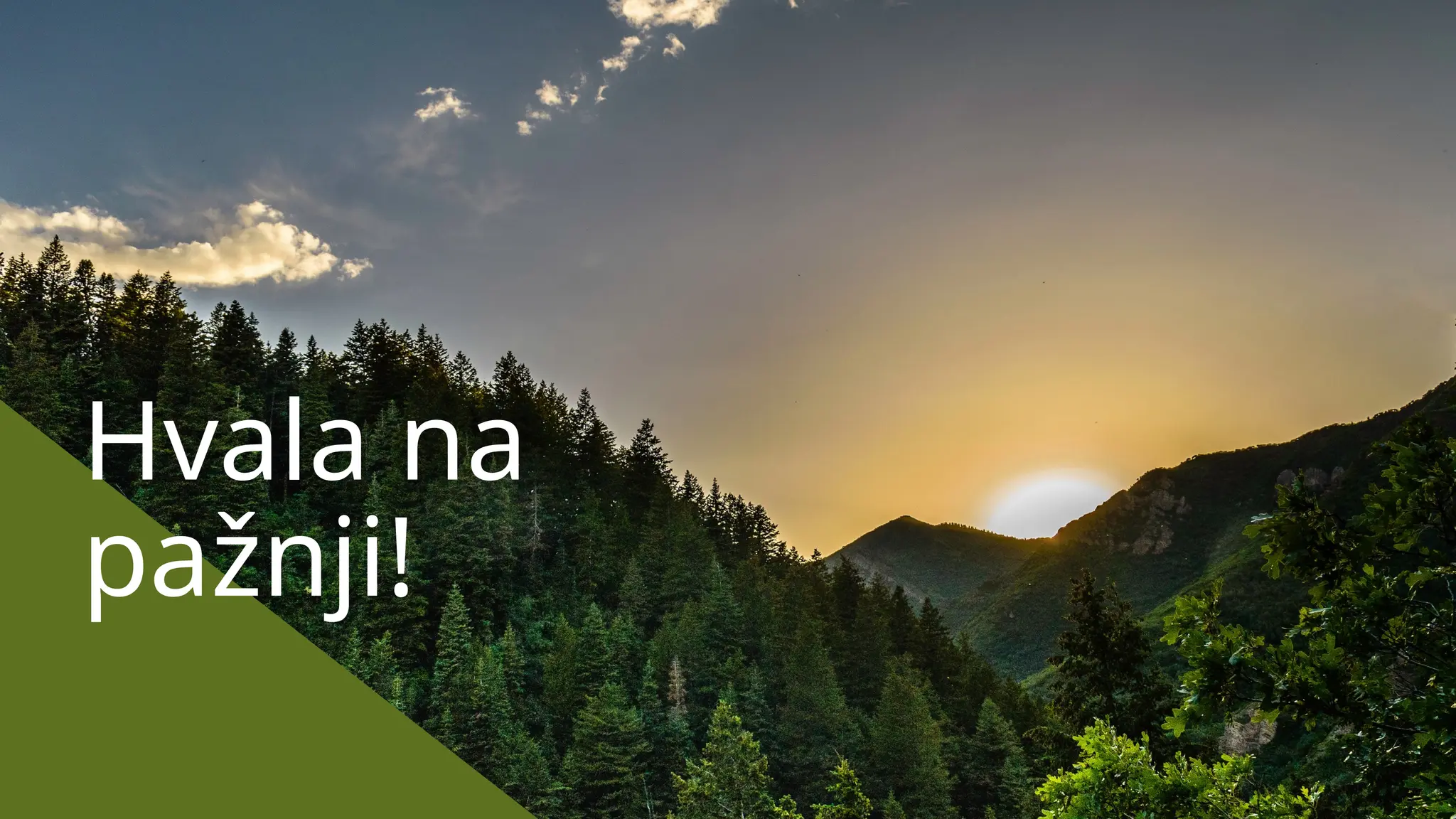 Listopadne šume prezentacija biologija sš | PPTX