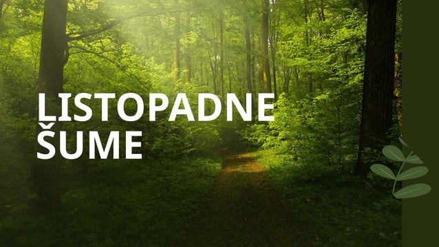 Listopadne šume prezentacija biologija sš | PPT