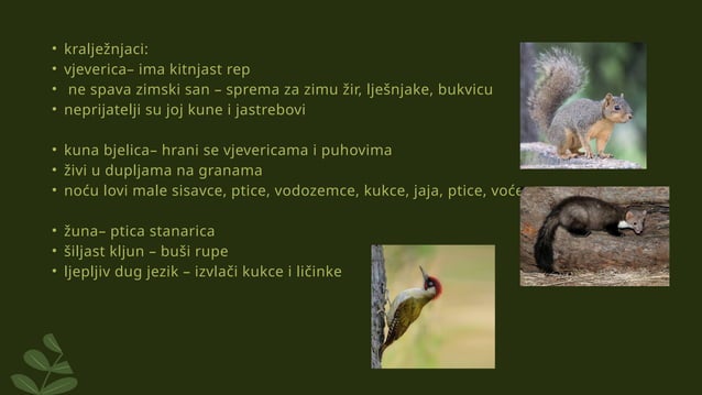Listopadne šume prezentacija biologija sš | PPT