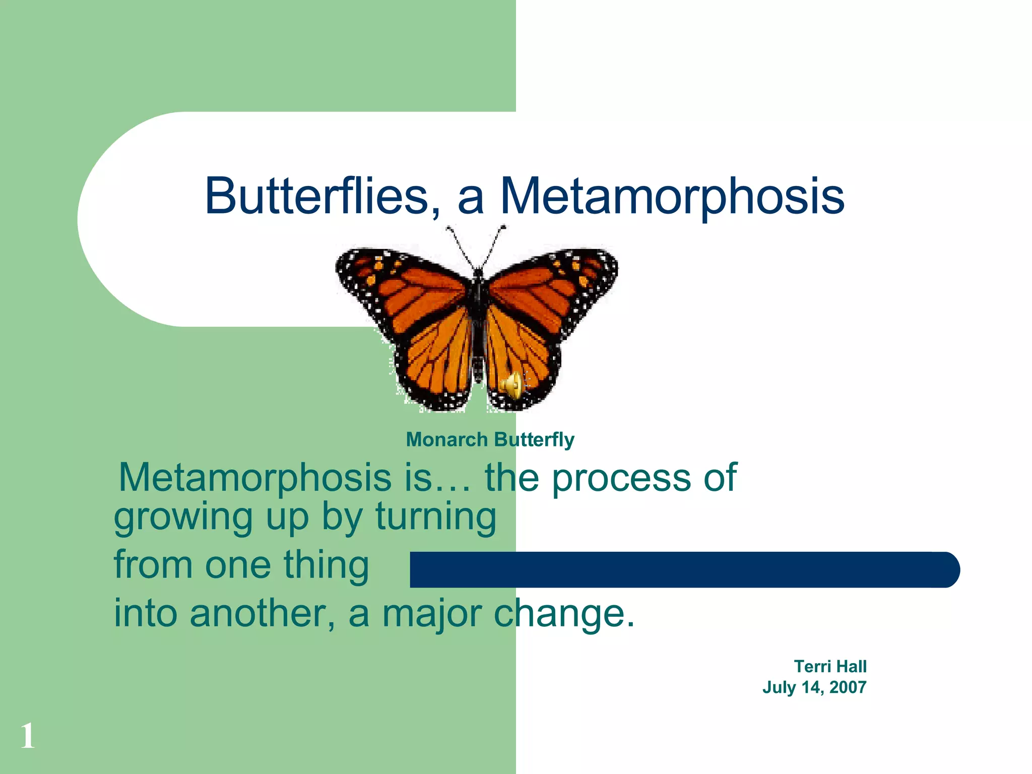 Lit Tech Ha4 Butterflyppy | PPT