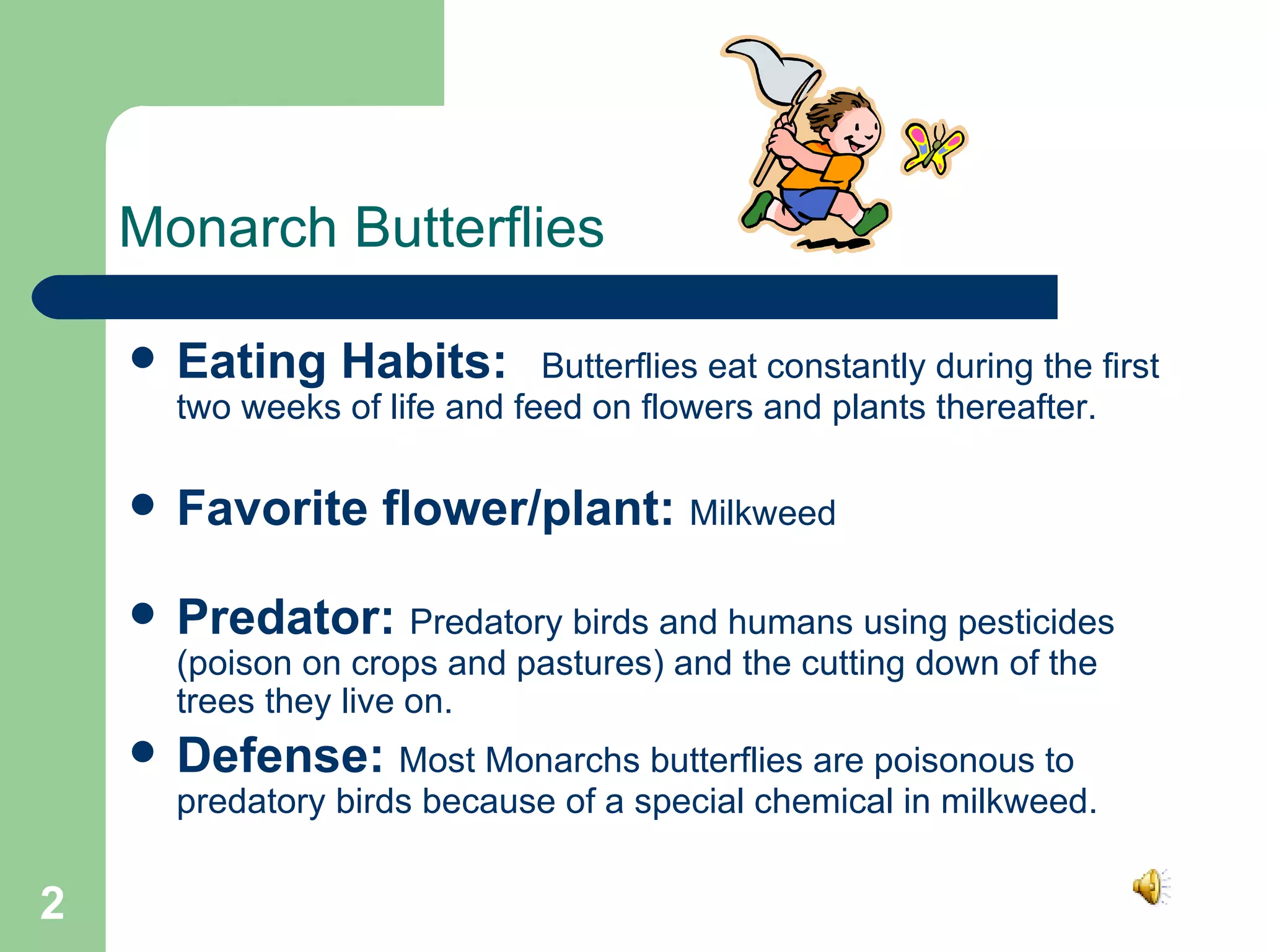 Lit Tech Ha4 Butterflyppy | PPT