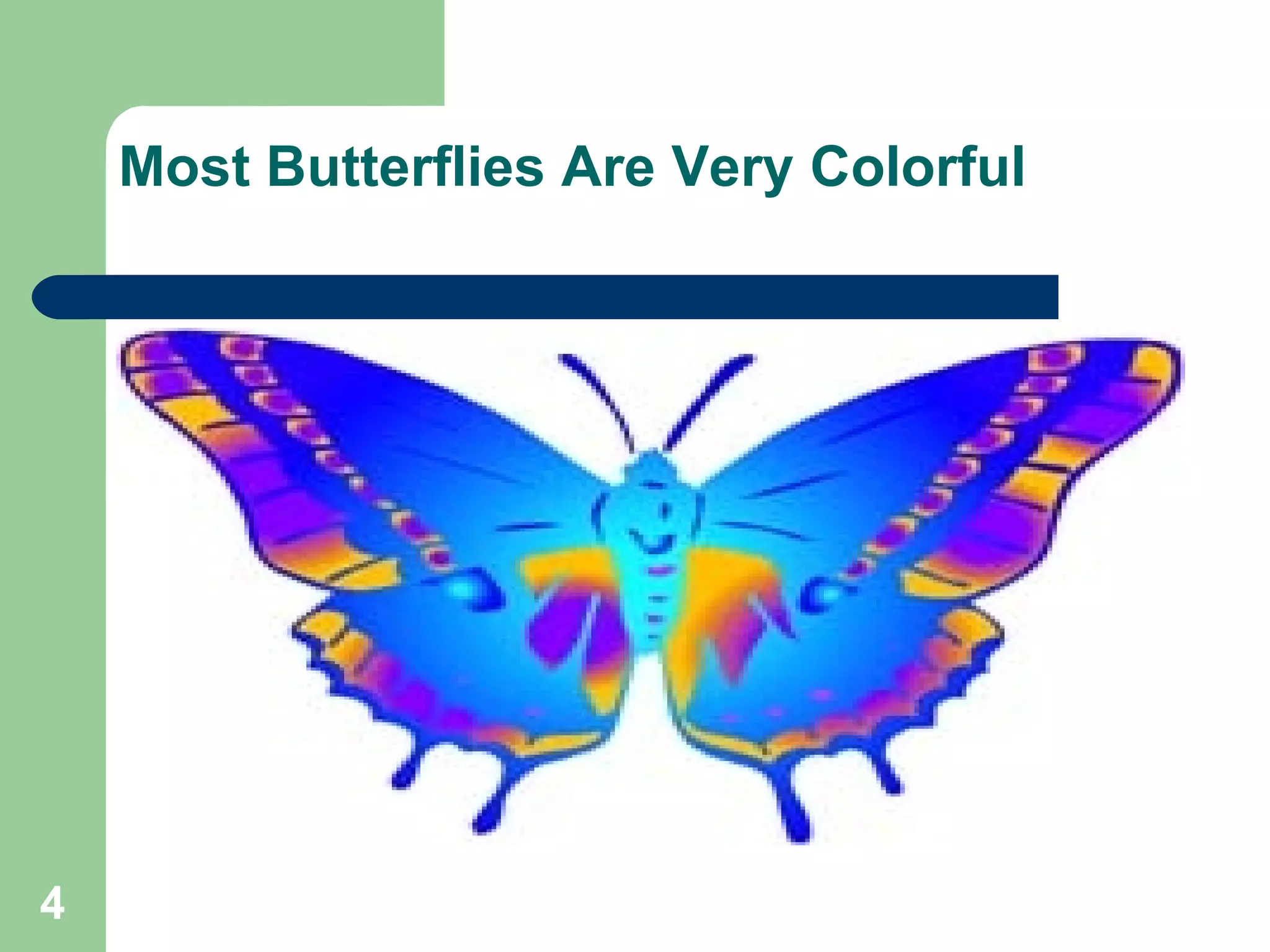 Lit Tech Ha4 Butterflyppy | PPT