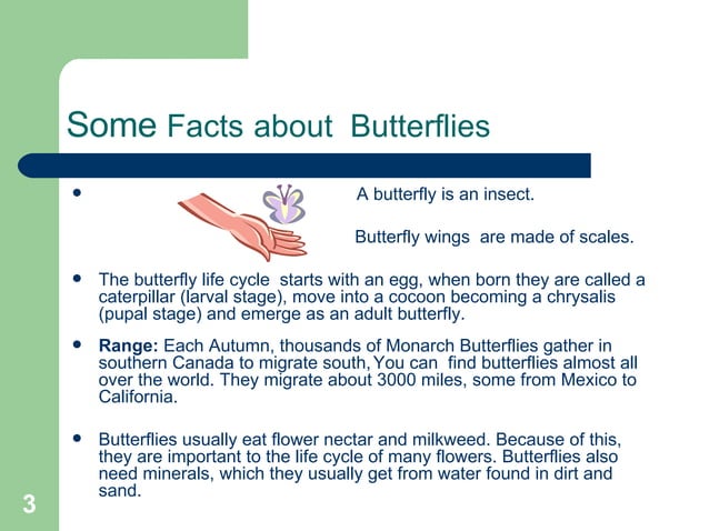 Lit Tech Ha4 Butterflyppy | PPT