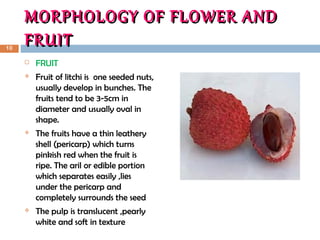 Flowering and Fruit sett in Litchi | PPT