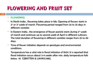 Flowering and Fruit sett in Litchi | PPT