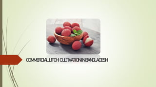 Production technology of Litchi-Fruit.pptx | Gardening | Home & Garden