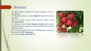 Production technology of Litchi-Fruit.pptx | Gardening | Home & Garden