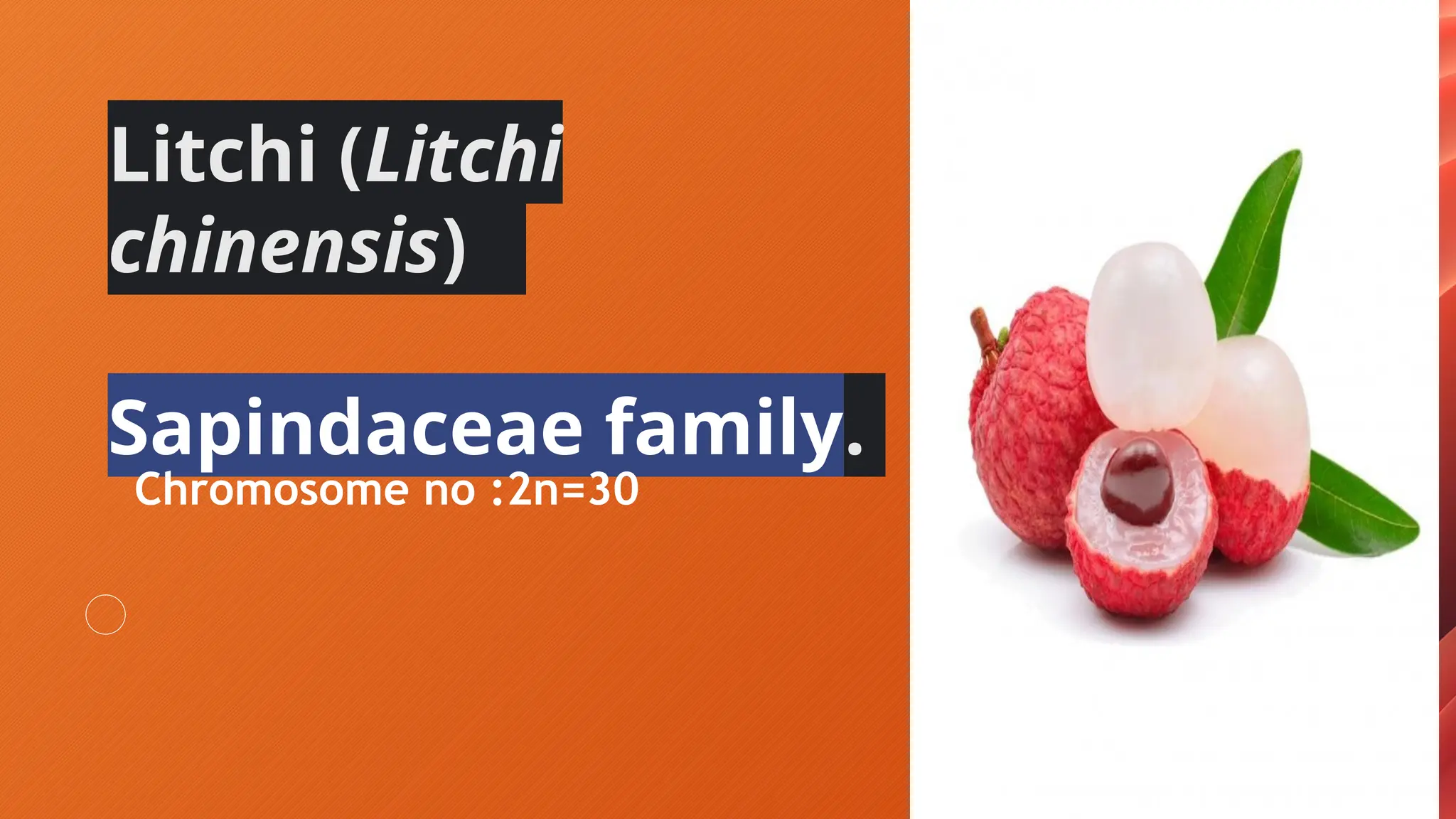 Litchi-Production-A-Comprehensive-Guide-1.pptx