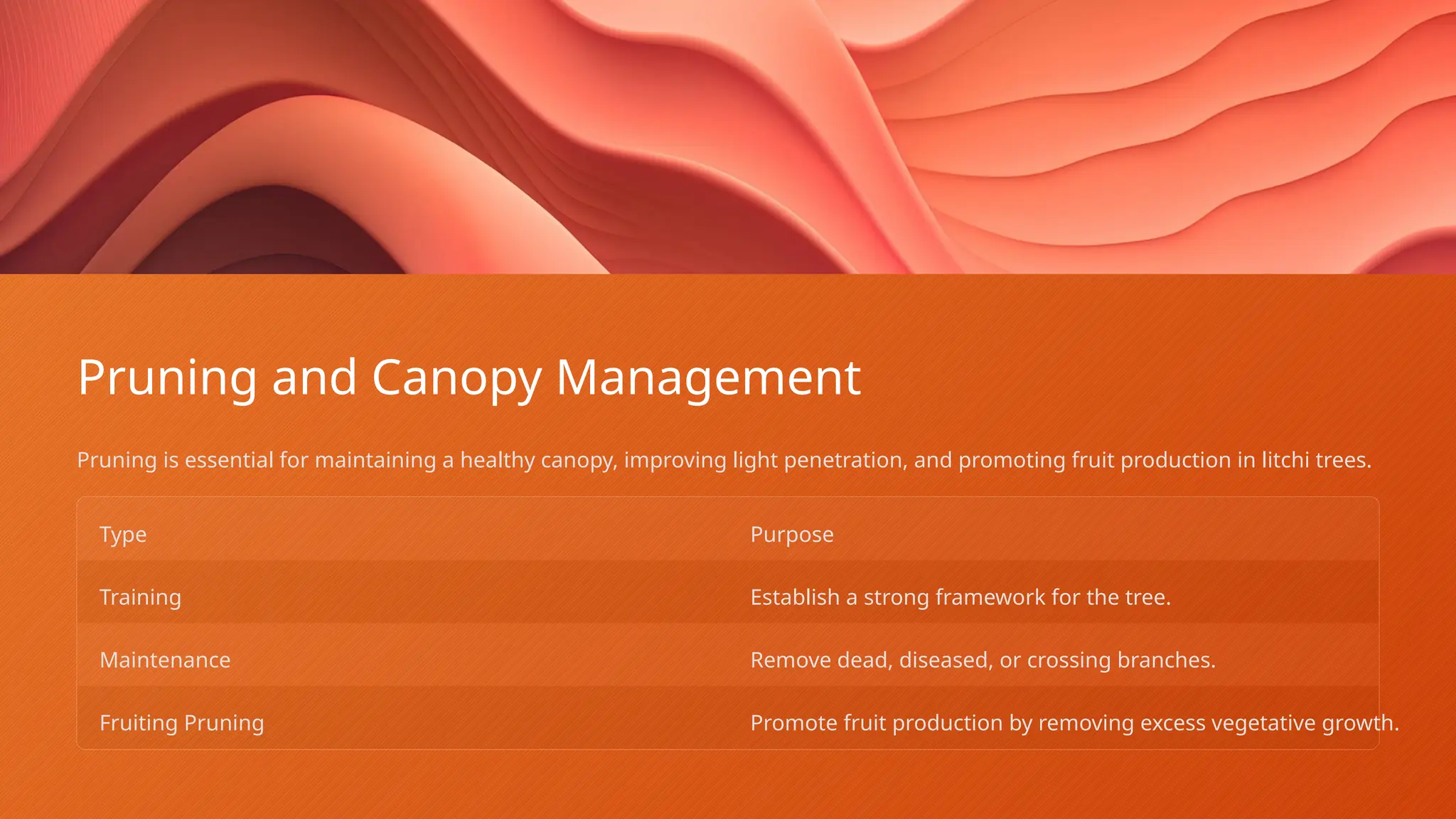 Litchi-Production-A-Comprehensive-Guide-1.pptx