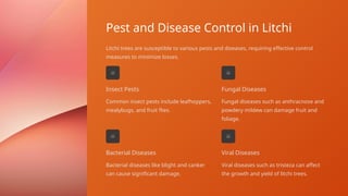 Litchi-Production-A-Comprehensive-Guide-1.pptx