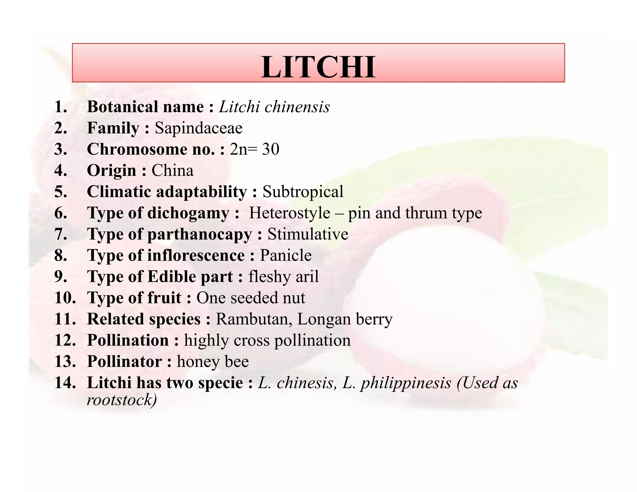 Litchi Breeding | PDF