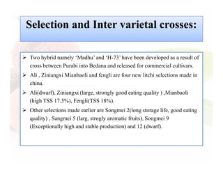 Litchi Breeding | PDF