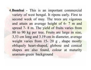 Litchi Breeding | PDF