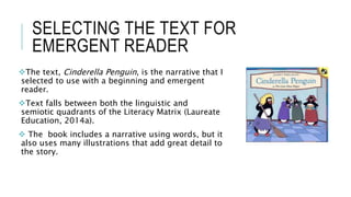 Literacy environment for the beginning and emergent reader | PPT