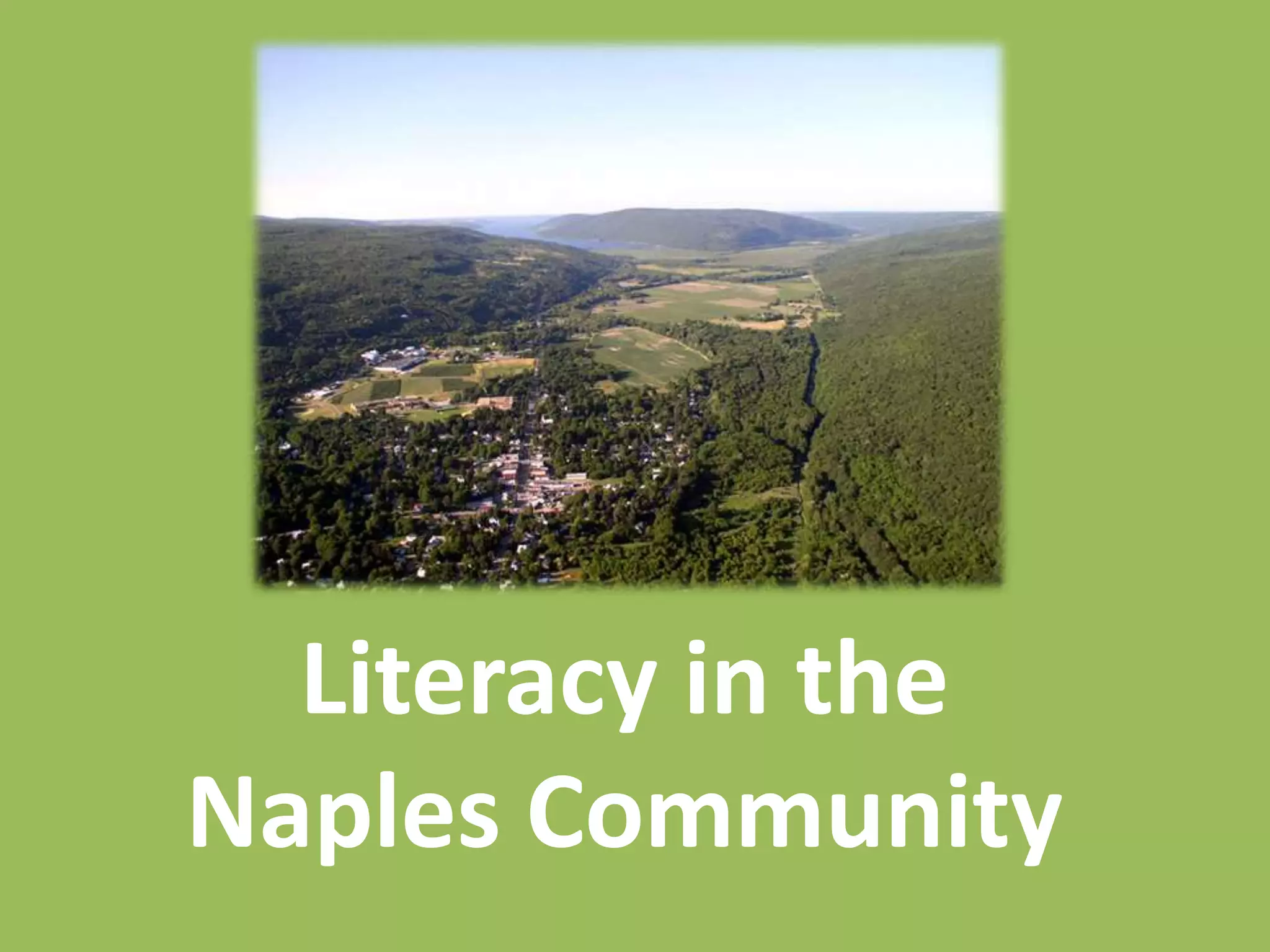 Literacy inquiry project | PDF | Education