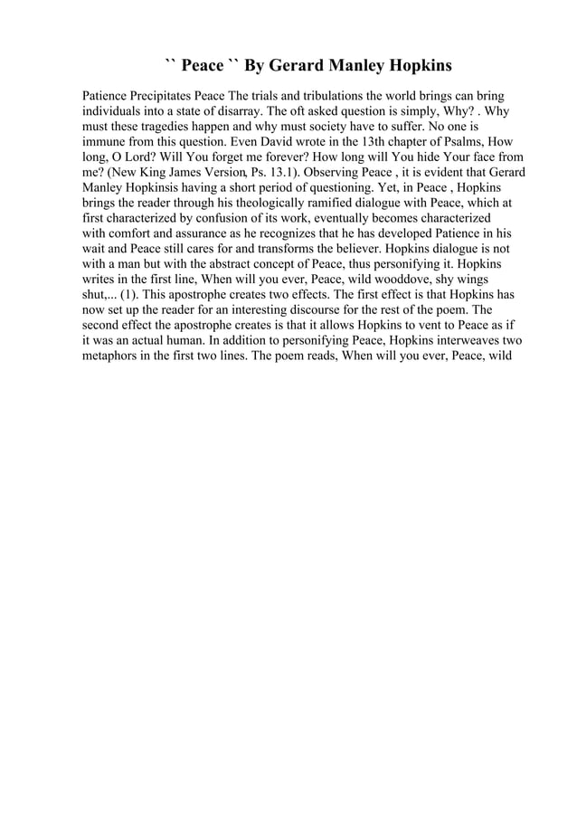 Literacy Narrative Essay Example.pdf