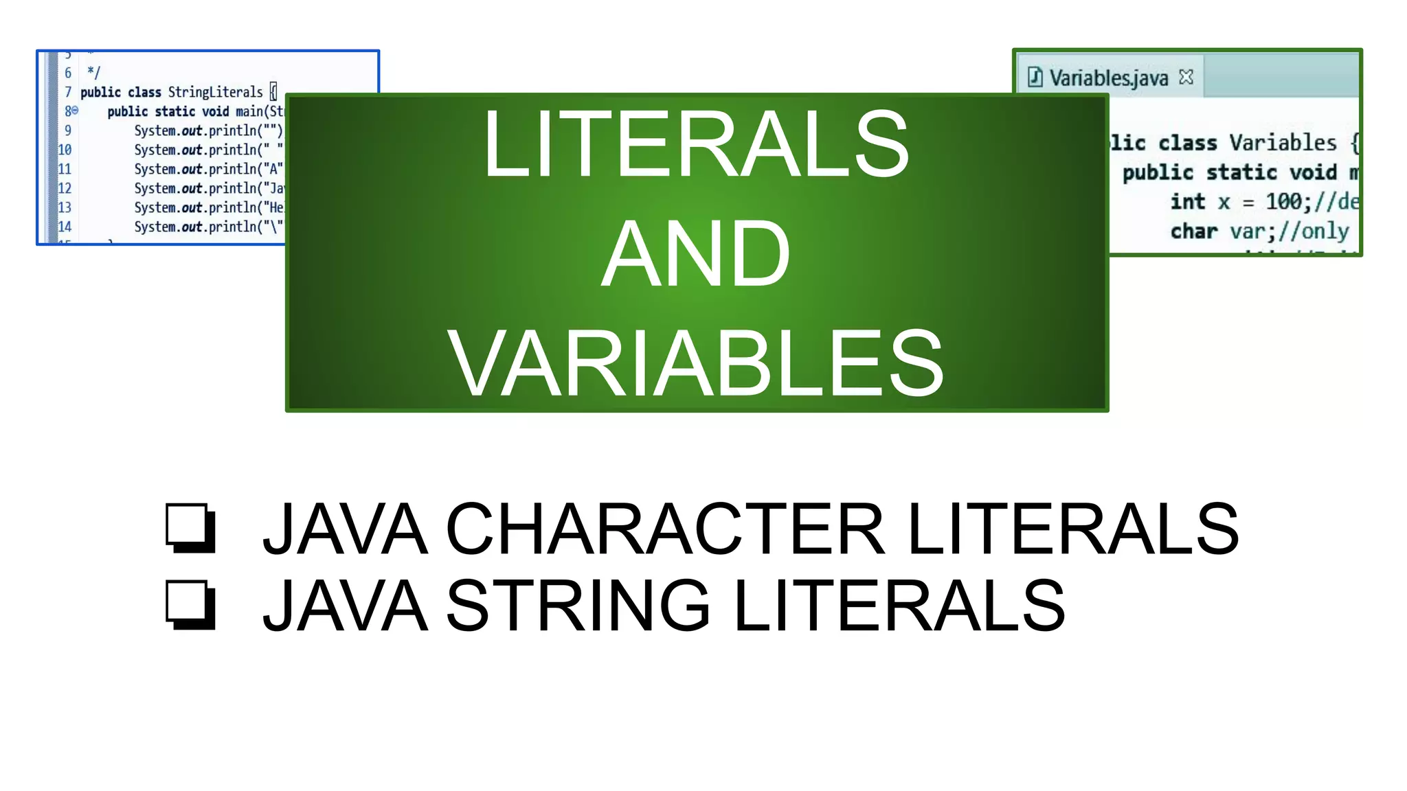 LITERALS AND VARIABLES (1).pdf