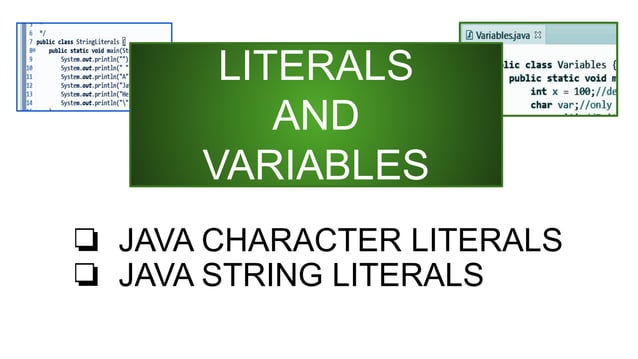 LITERALS AND VARIABLES (1).pdf
