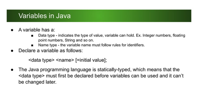 LITERALS AND VARIABLES (1).pdf