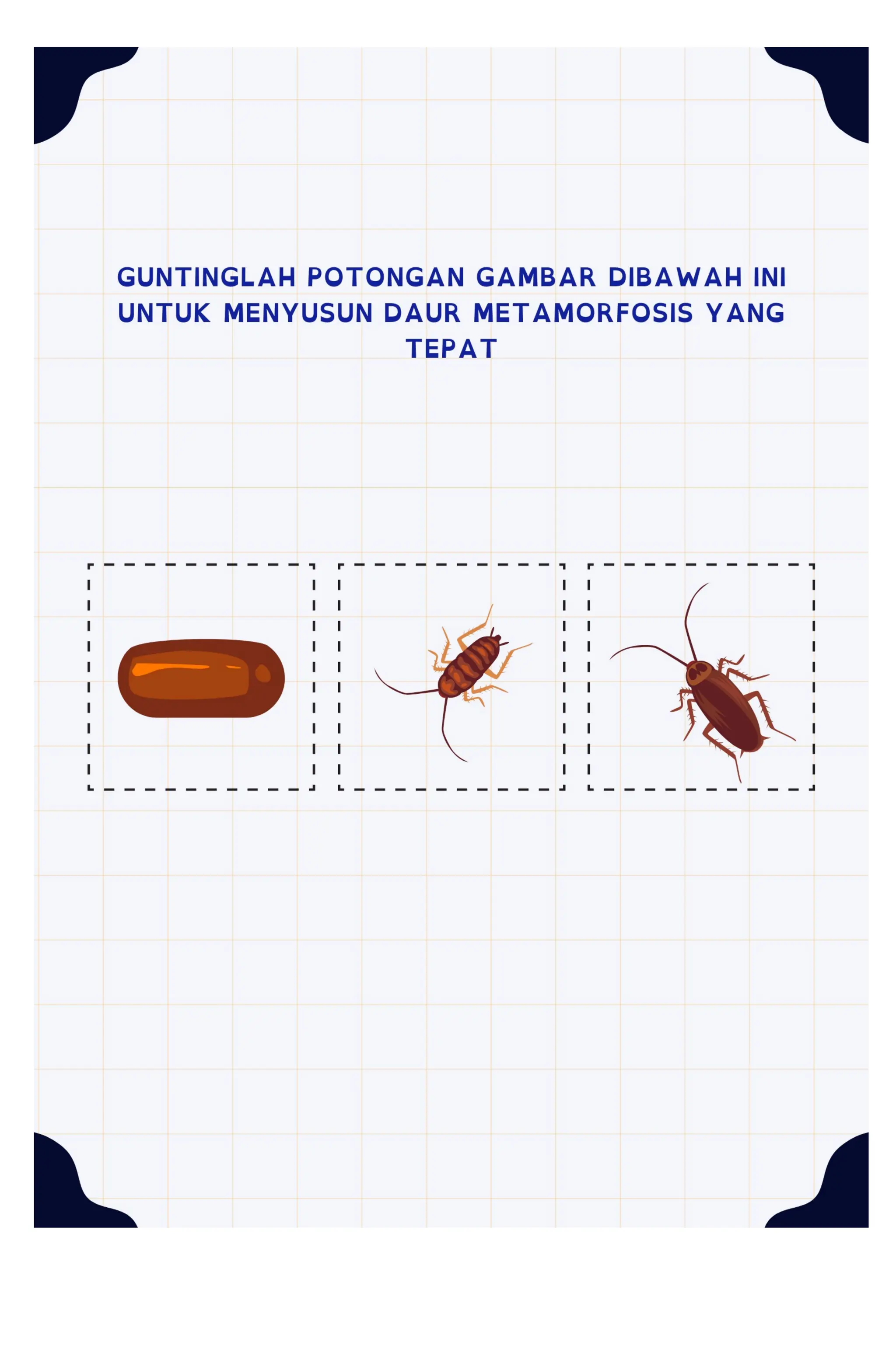 LITERASI BACA TULIS MATERI METAMORFOSIS SEMPURNA DAN METAMORFOSIS TIDAK SEMPURNA.docx
