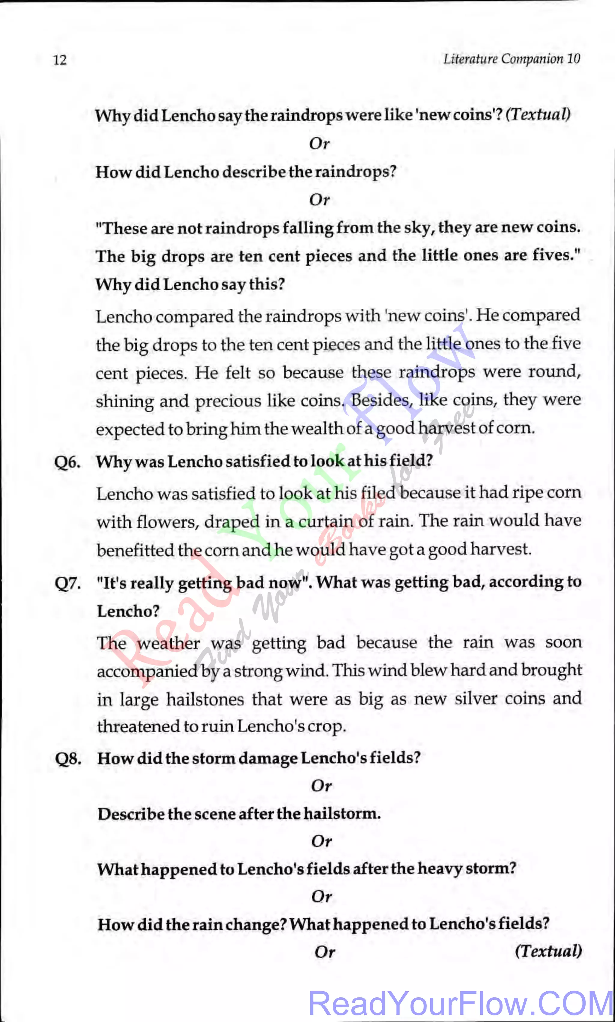 Literature Companion FIRST FLIGHT Class 10 | PDF | Air Travel | Travel Type