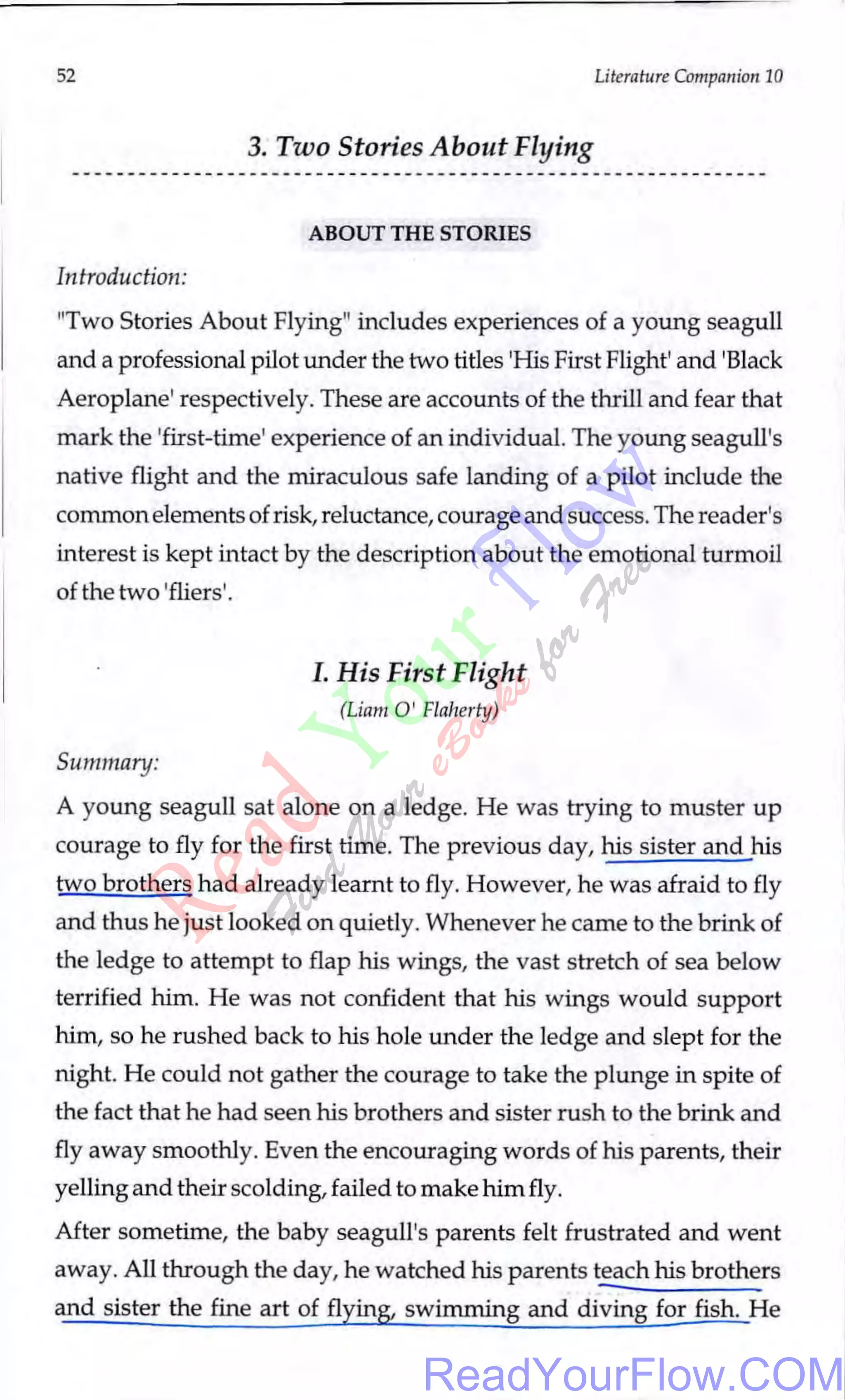 Literature Companion FIRST FLIGHT Class 10 | PDF