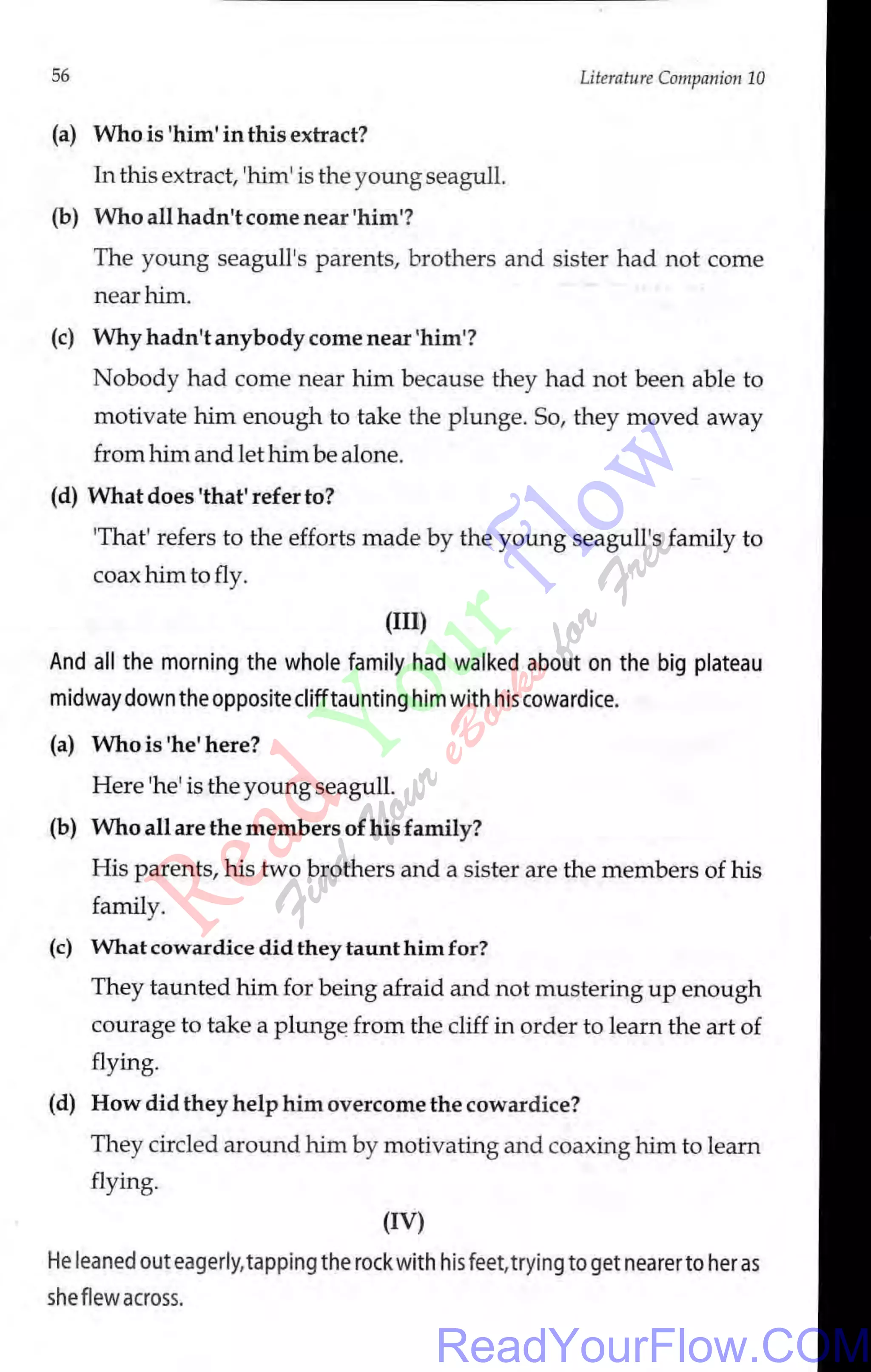 Literature Companion FIRST FLIGHT Class 10 | PDF