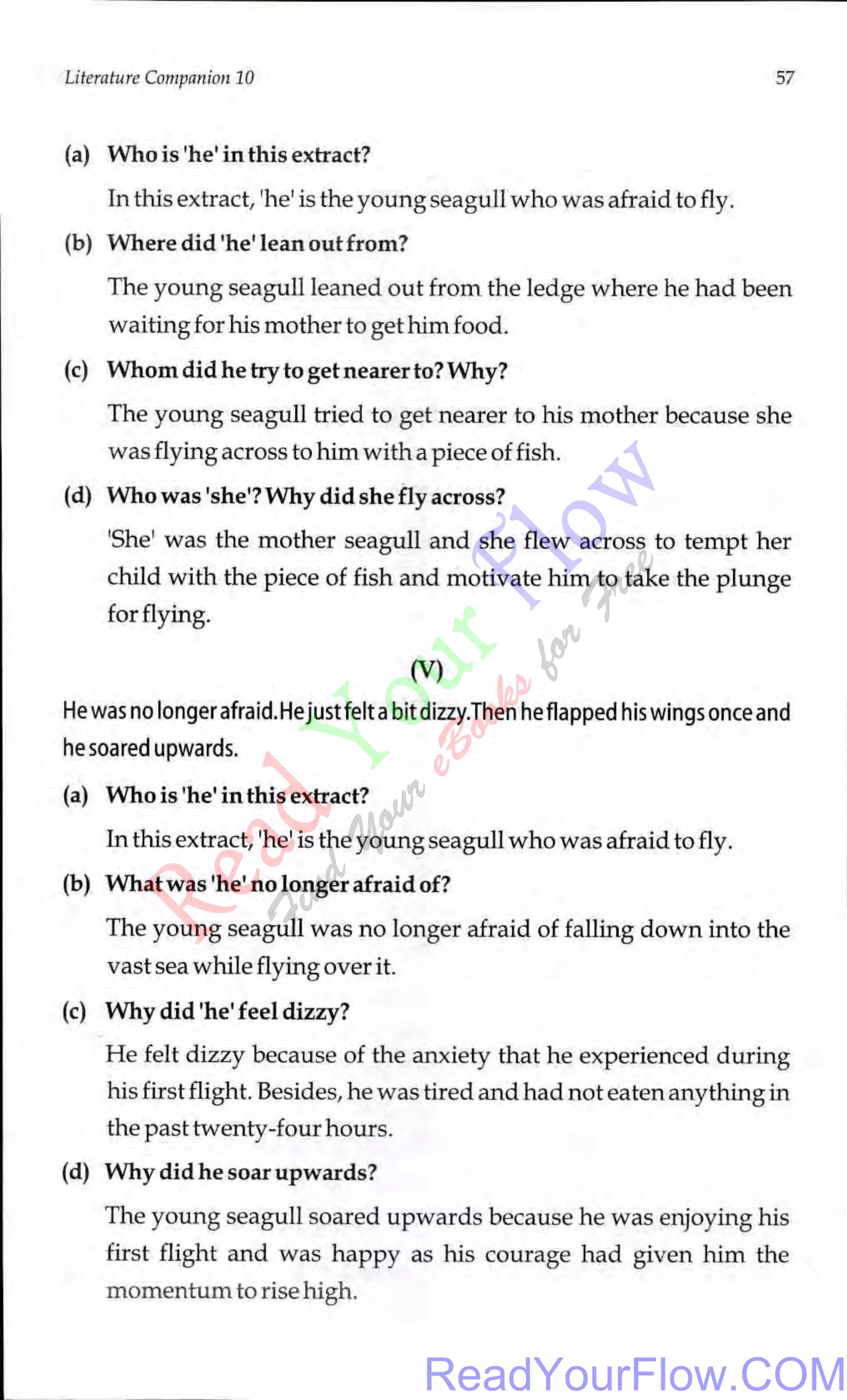 Literature Companion FIRST FLIGHT Class 10 | PDF